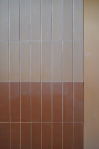 Tuscan Cotto 2.0 Terracotta Subway Tile 60x240mm - Design Tiles Sydney