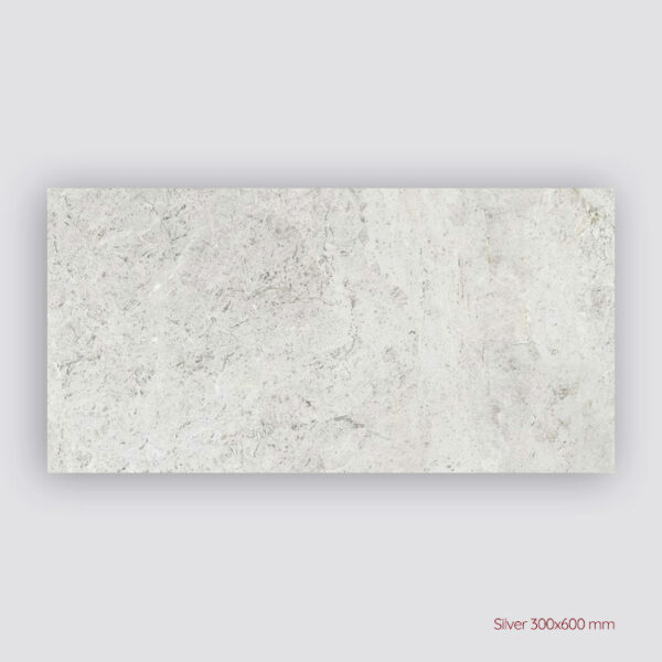 Tundra Extra Porcelain Indoor and Outdoor Tiles - Design Tiles Sydney